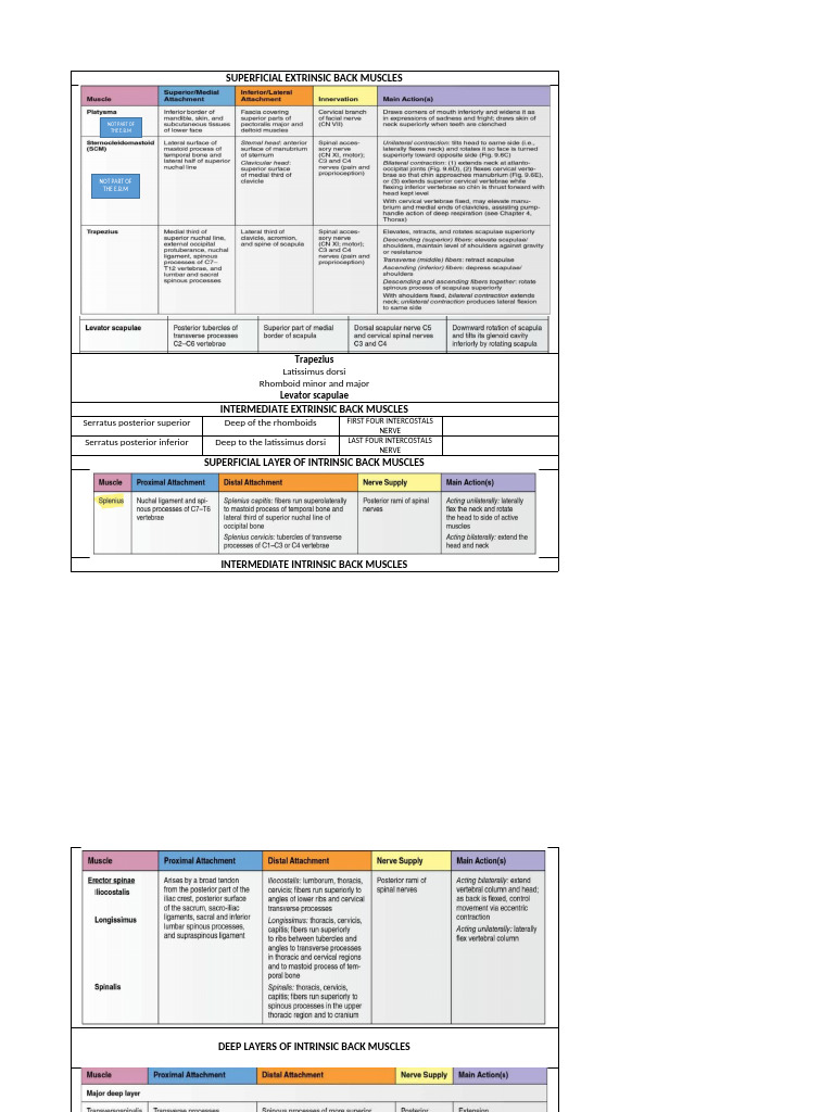 Back Muscles - Tables | PDF