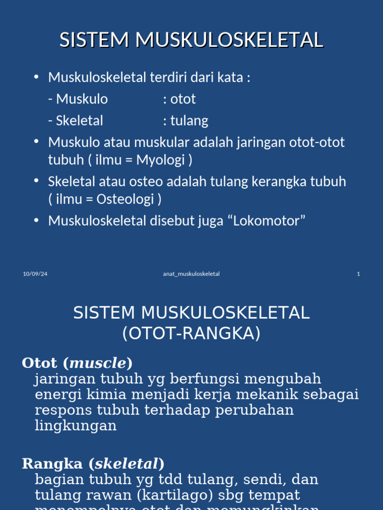 Fisiologi Muskuloskeletal PPT | PDF
