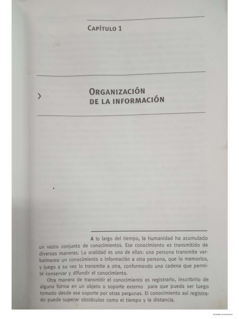 Spedalieri, G (2007) Organización de La Información | PDF