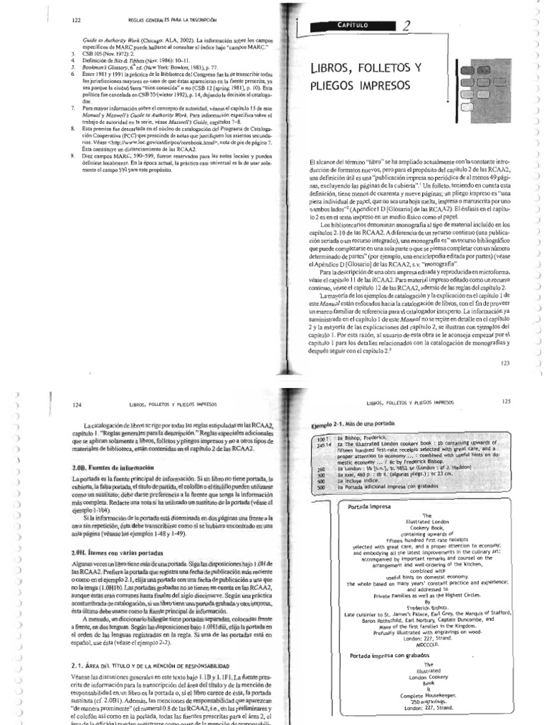 Maxwell - Manual para RCAA - Cap 2 | PDF
