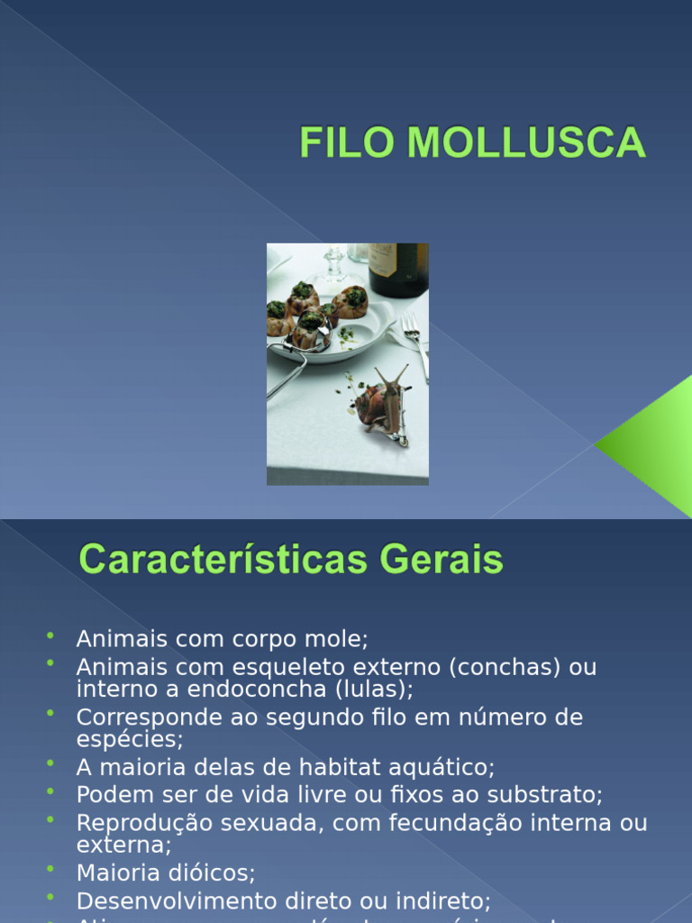 Molusca | PDF