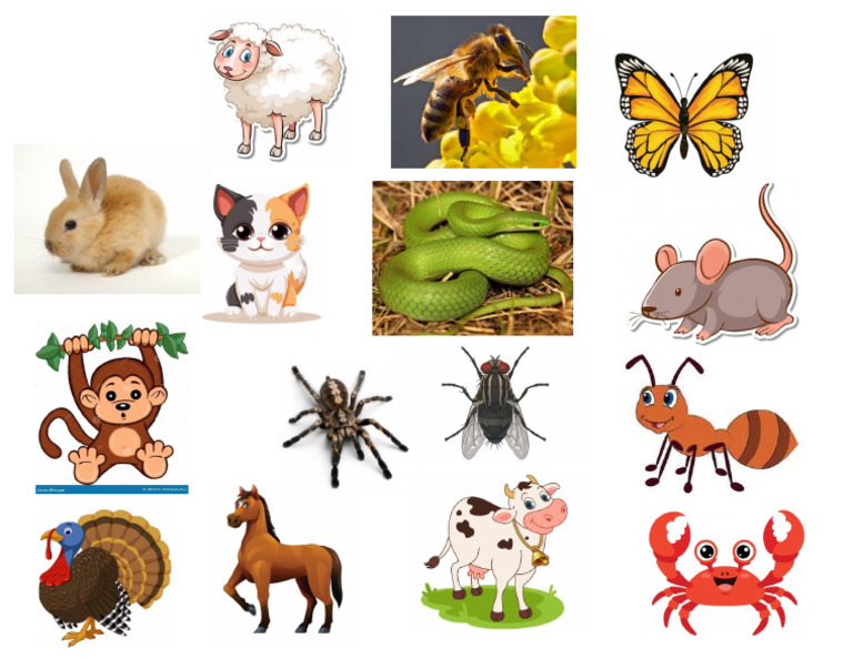 Animales en Mam | PDF