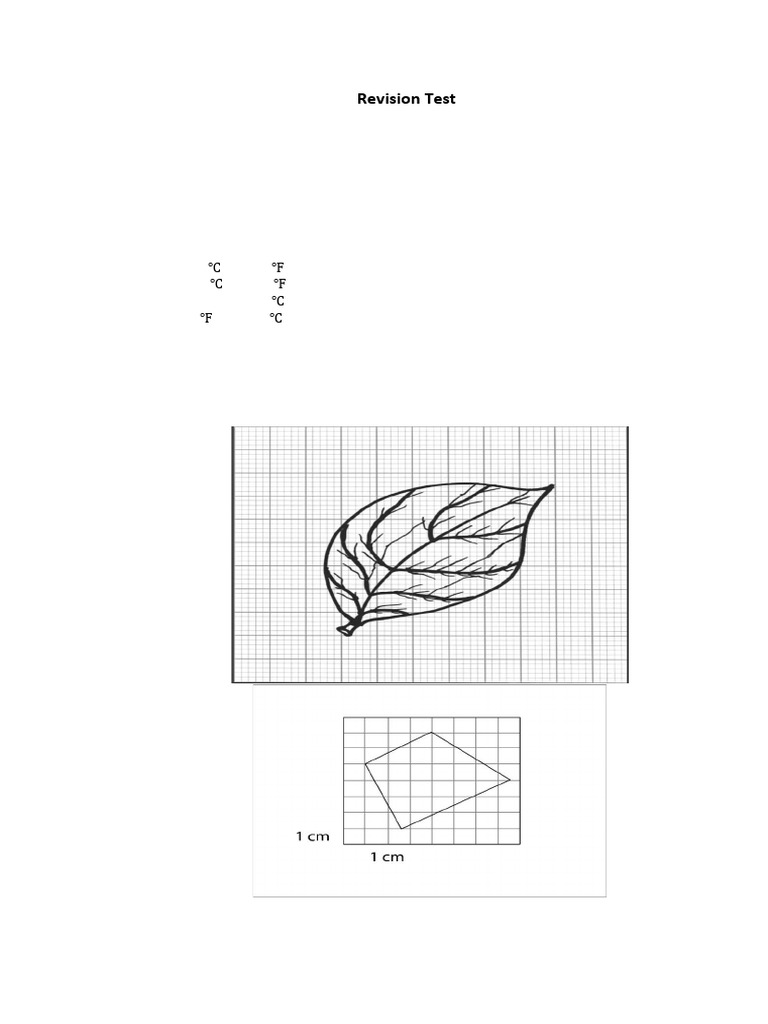 Class 6 Revision Test - Combined | PDF | Science & Mathematics ...