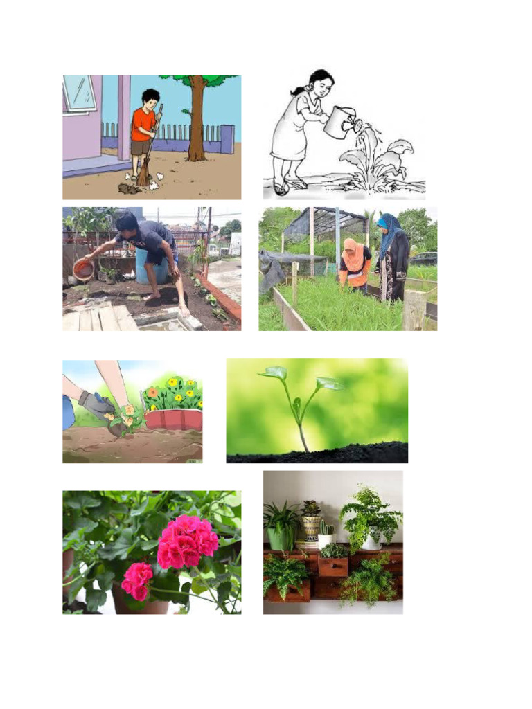 Aktiviti Kebun | PDF