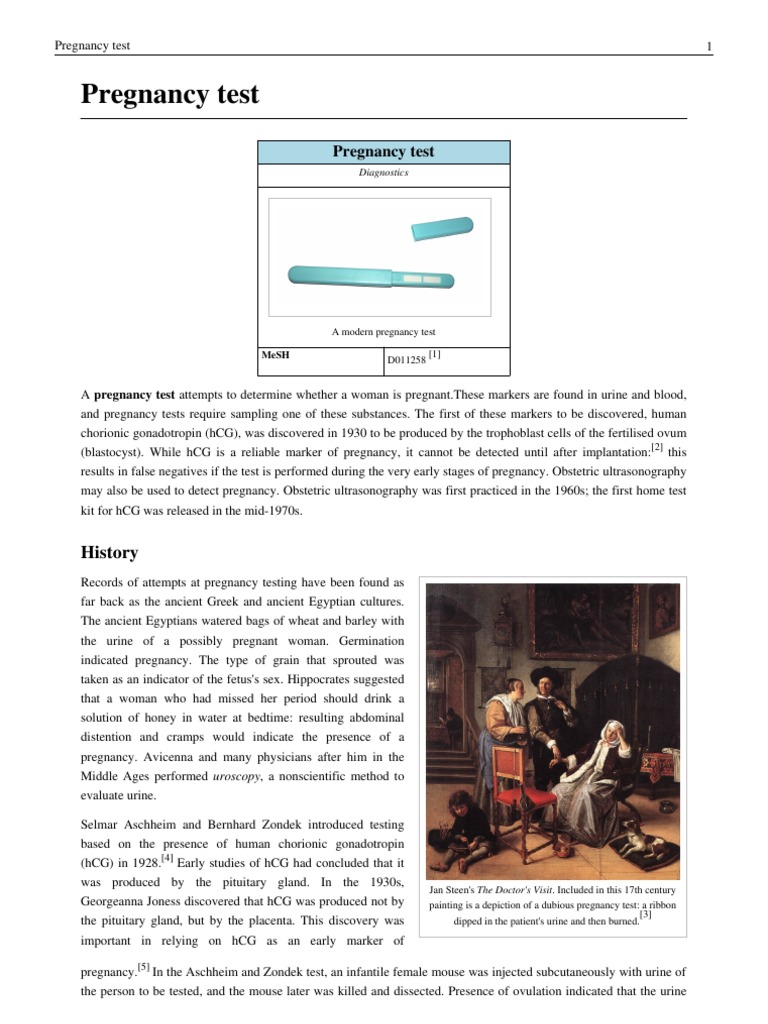 Pregnancy Test: History | PDF | Sexual Anatomy | Anatomy