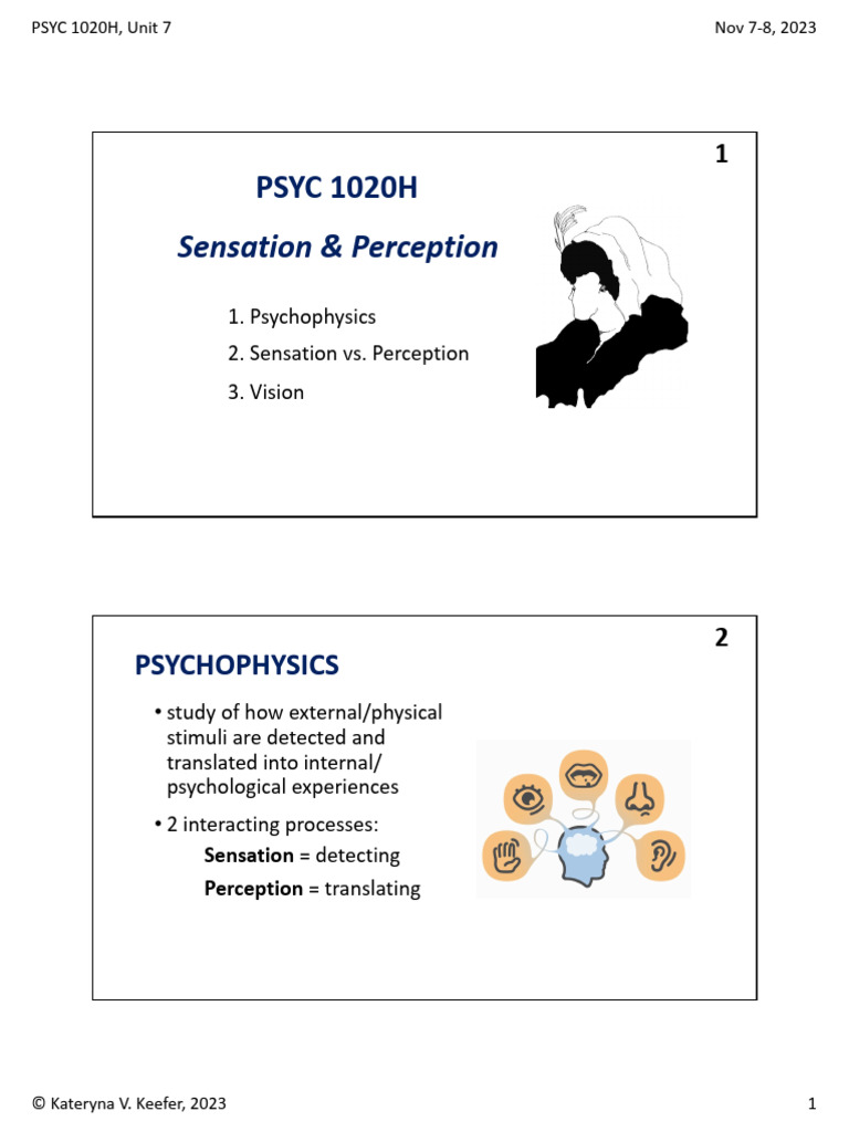 PSYC1020 Sensation & Perception Annotated Slides | PDF