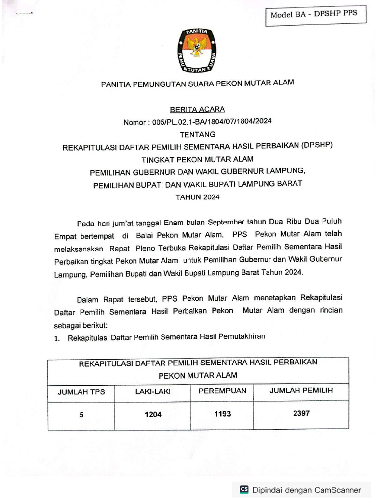 BA Pleno DPSHP | PDF