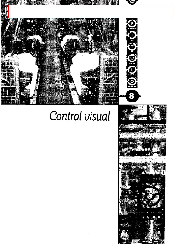 Capitulo 8 Control Visual | PDF