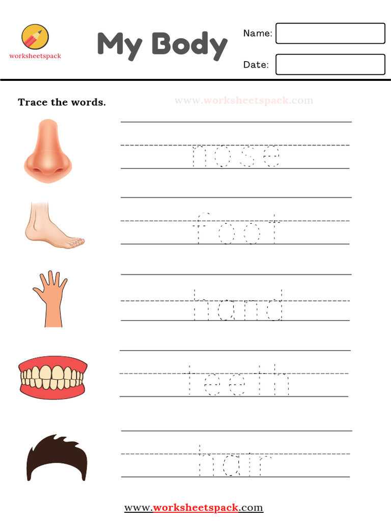 My Body Words Tracing Worksheets | PDF