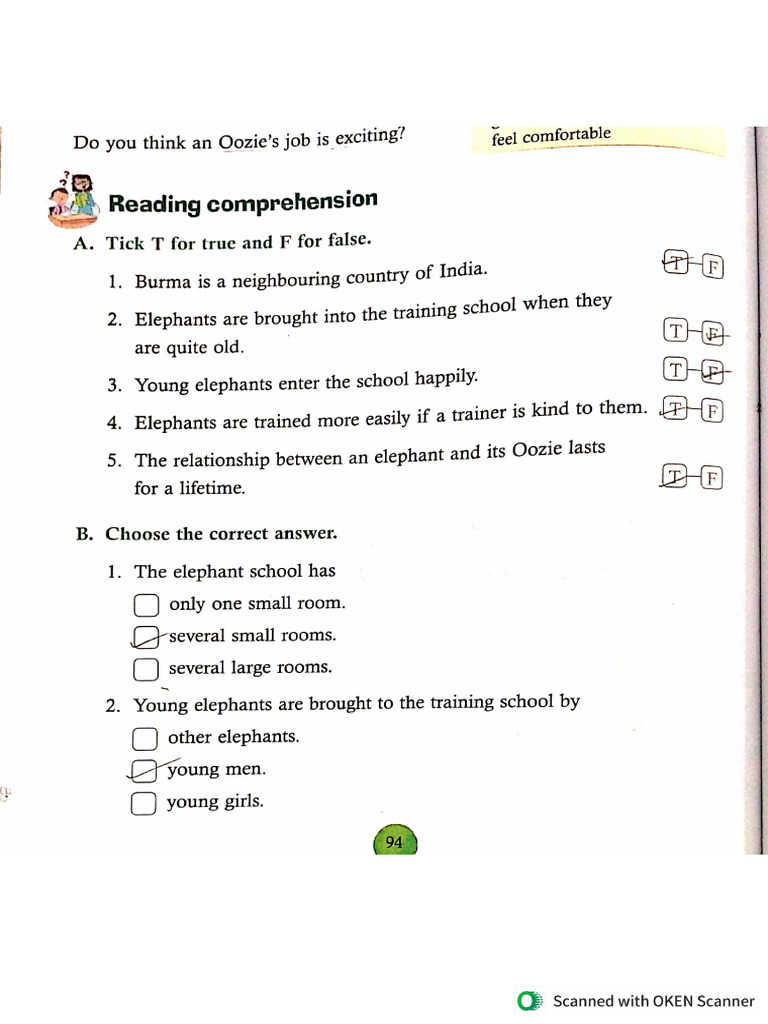 English Class 5th | PDF