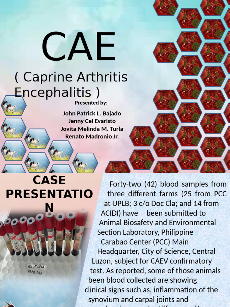 CAEV | PDF