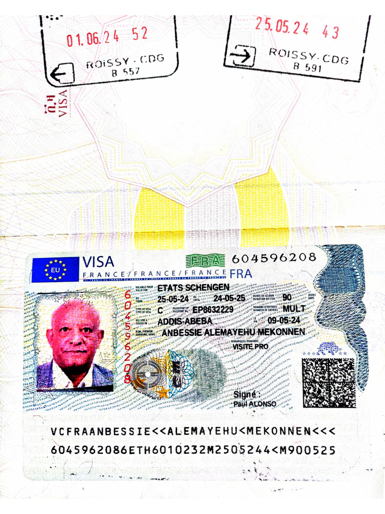 Schengen Visa | PDF