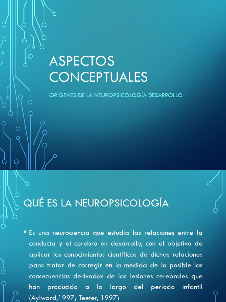 Aspectos Conceptuales de La NPD | PDF