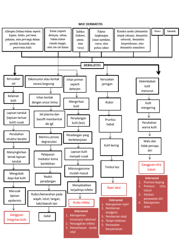 Woc Dermatitis Kel 3 | PDF