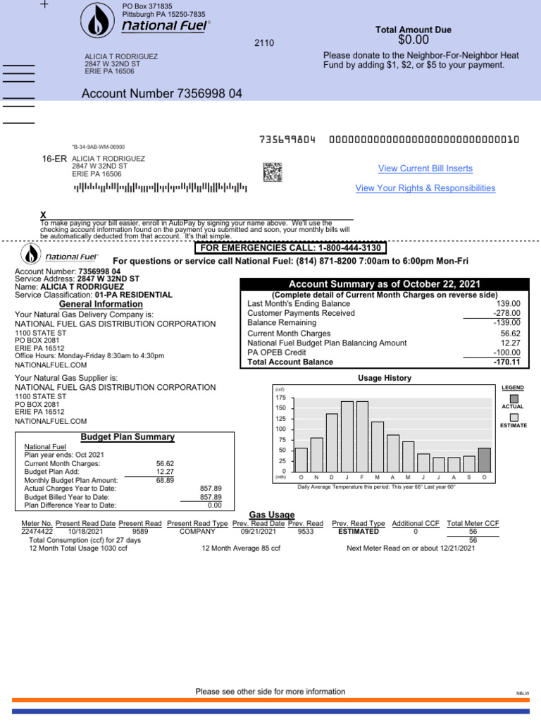 National Fuel Bill | PDF