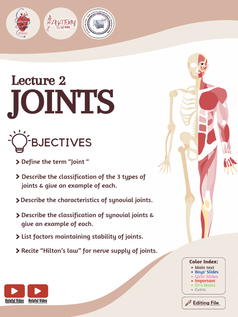 L02- Joints | PDF
