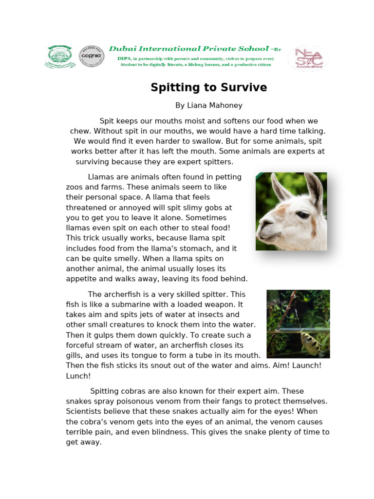 Reading Comprehension Grade 7 | PDF