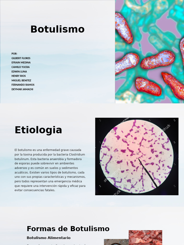 Botulismo Diapositivas | PDF