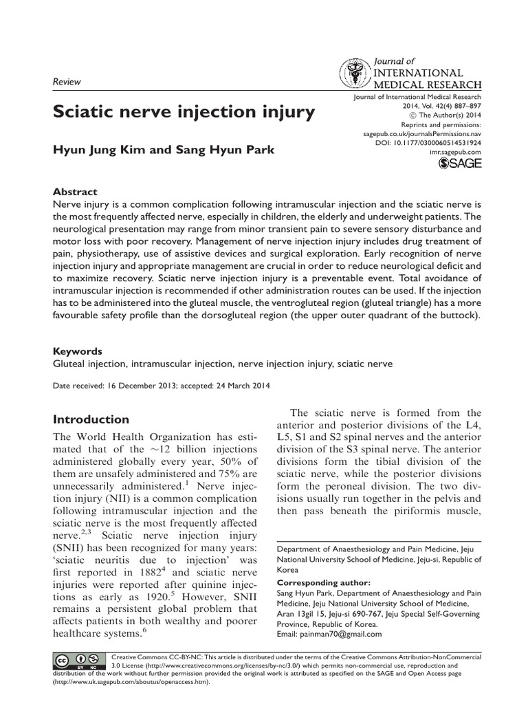 Sciatic Nerve Injection Injury | PDF