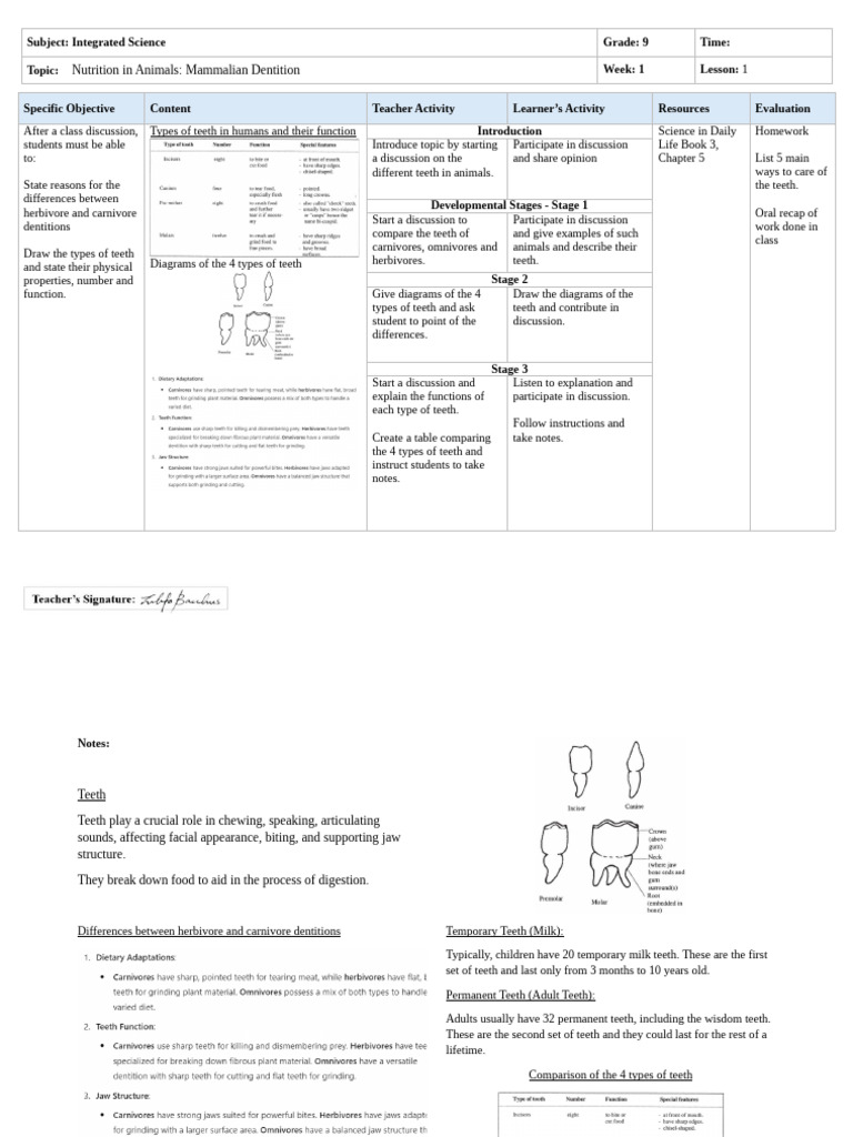 Grade 9 Inte Science Week 1 | PDF