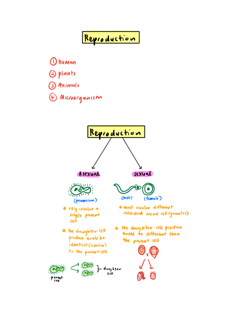 Chapter 4 Form 1 (Reproduction) (3) | PDF