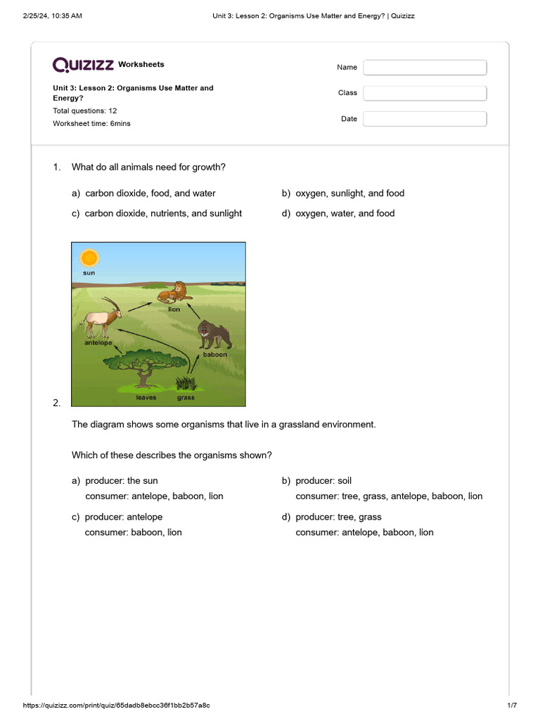 Organisms and Energy Use in Ecosystems | PDF | Foods | Honey