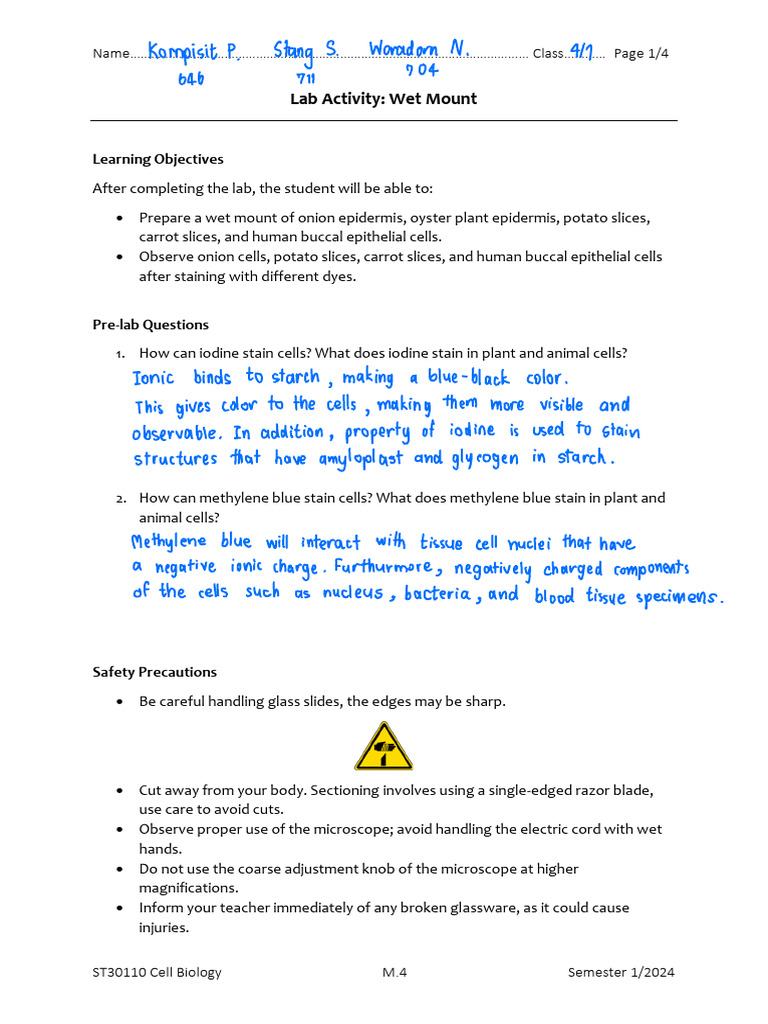 Lab Activity - Wet Mount 2024 2 | PDF