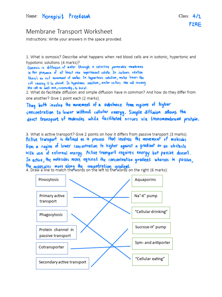 Membrane Transport worksheet_2024 | PDF