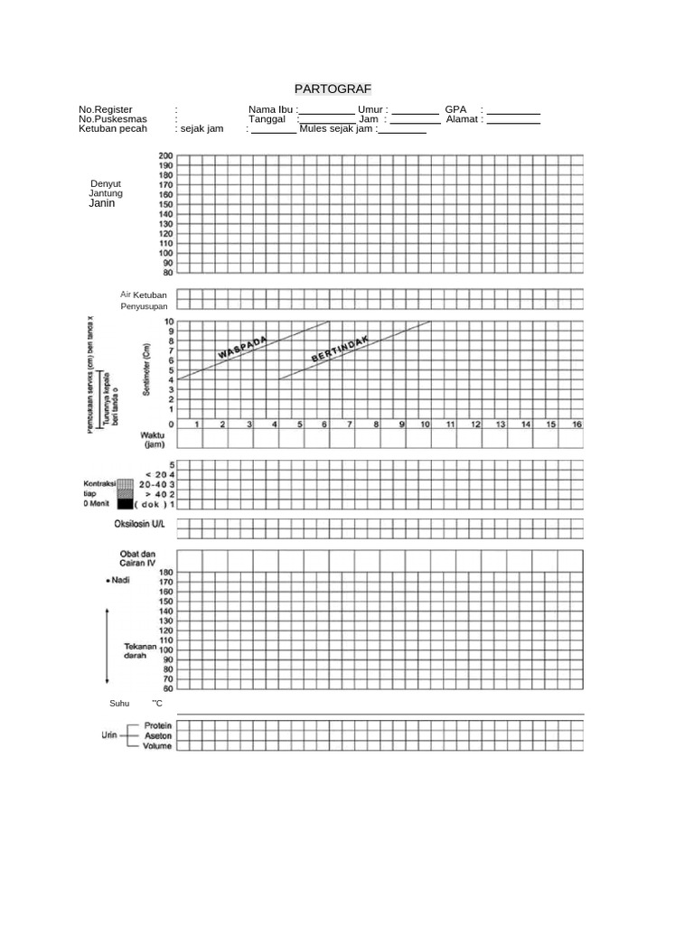 PDF Format Partograf | PDF