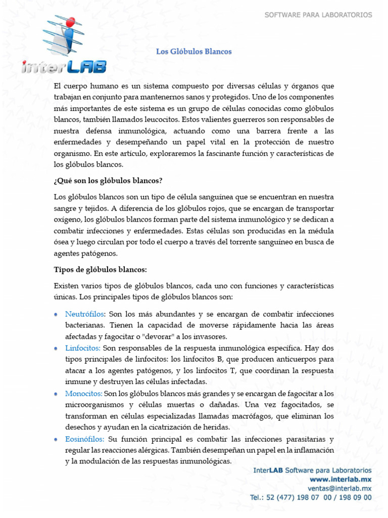 Los Globulos Blancos | PDF | Leucocito | Sistema inmune