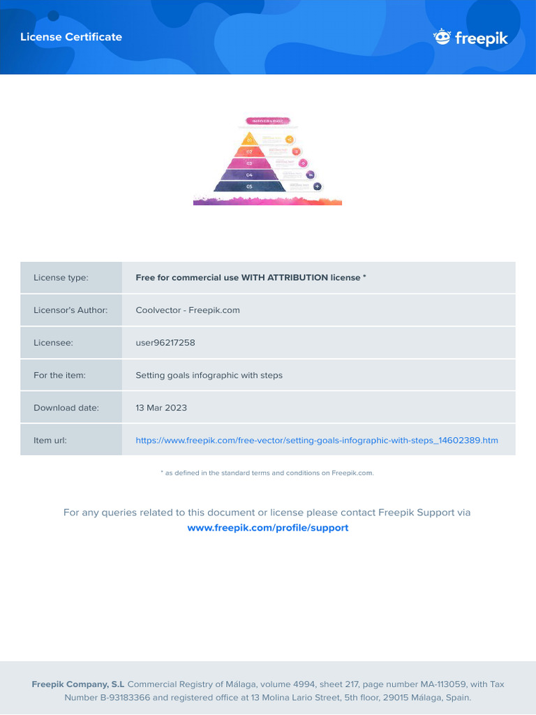 License Setting Goals Infographic With Steps 14602389 | PDF