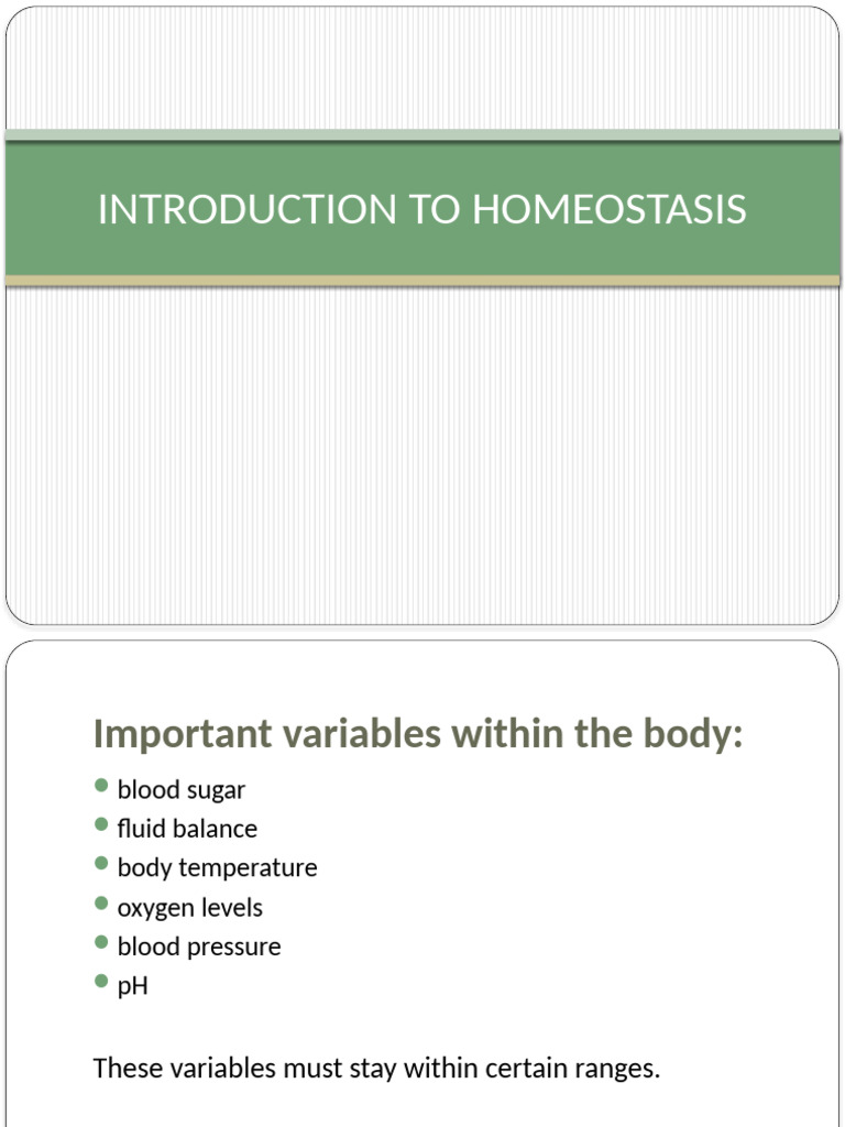 Homeostasis PPT Re-Save | PDF