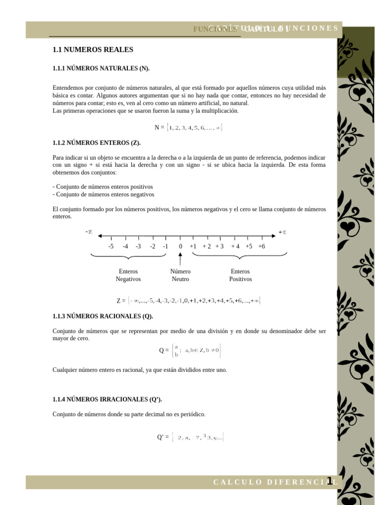 CAPITULO 1 Libro Román Garma | PDF | Números | Número racional