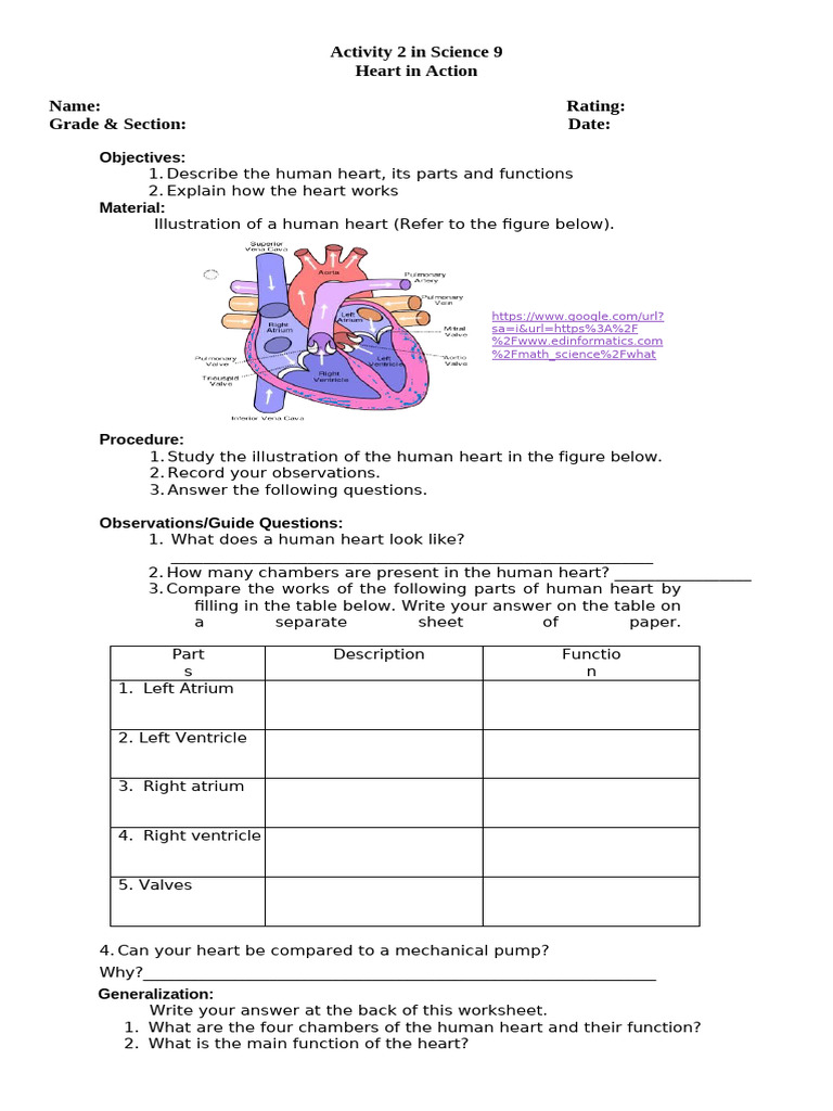 Activity 2 in Science 9 | PDF | Heart | Science & Mathematics
