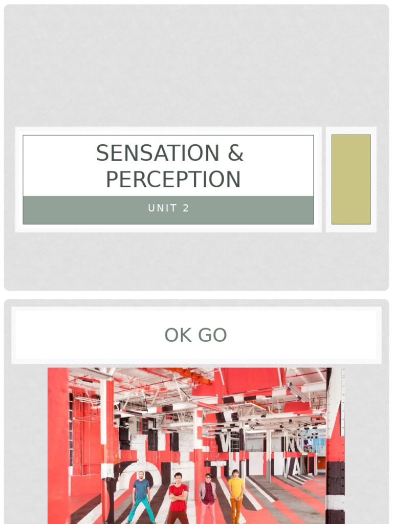 Sensation & Perception | PDF