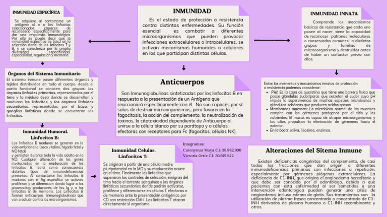 Mapa Conceptual Inmunidad | PDF | Sistema inmune | Linfocitos