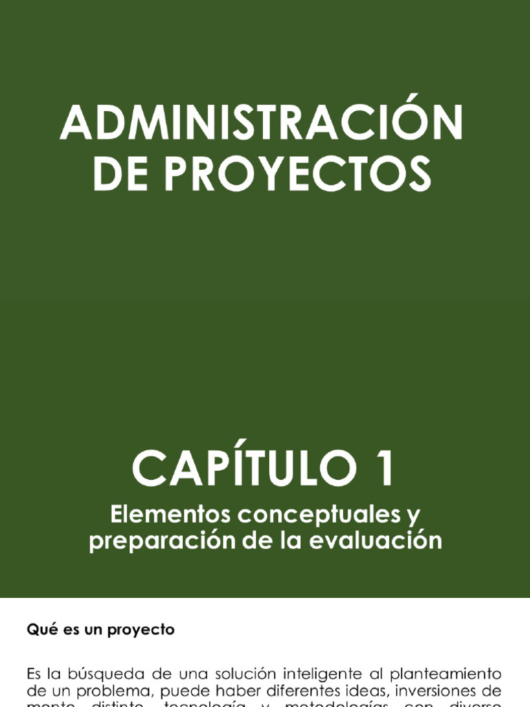 CAP 1 ingeniería proyectos | PDF