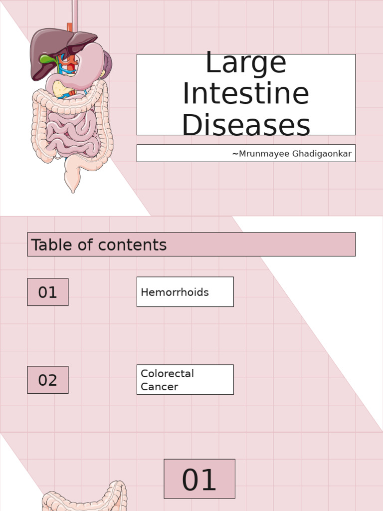 Large Intestine Diseases | PDF