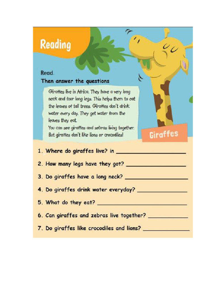 Grade 2 Reading Comprehension | PDF