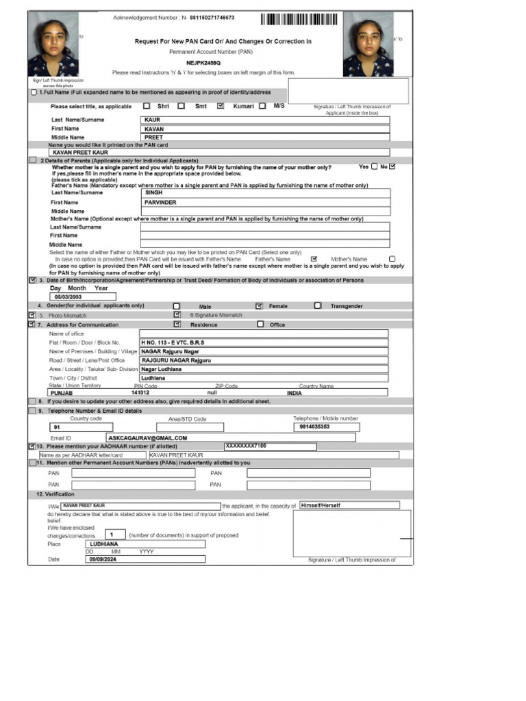 Kavan Pan Application | PDF