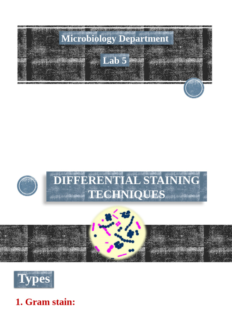 Acid Fast Stain | PDF