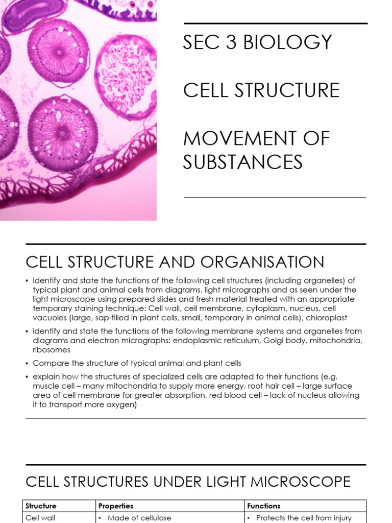 Cell Structure and Movement of Substances | PDF