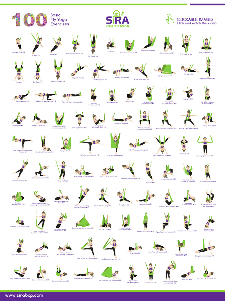 Poster-Fly Yoga Exercises | PDF