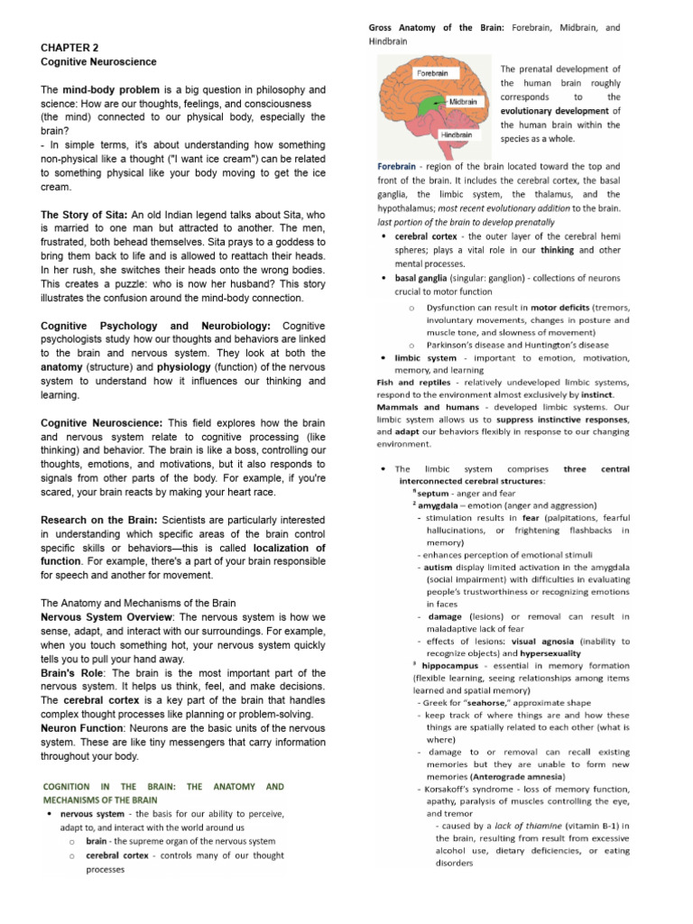 Chapter 2 Cognitive Psychology | PDF