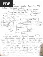 PQR Branches | PDF | Spectroscopy | Solid State Engineering