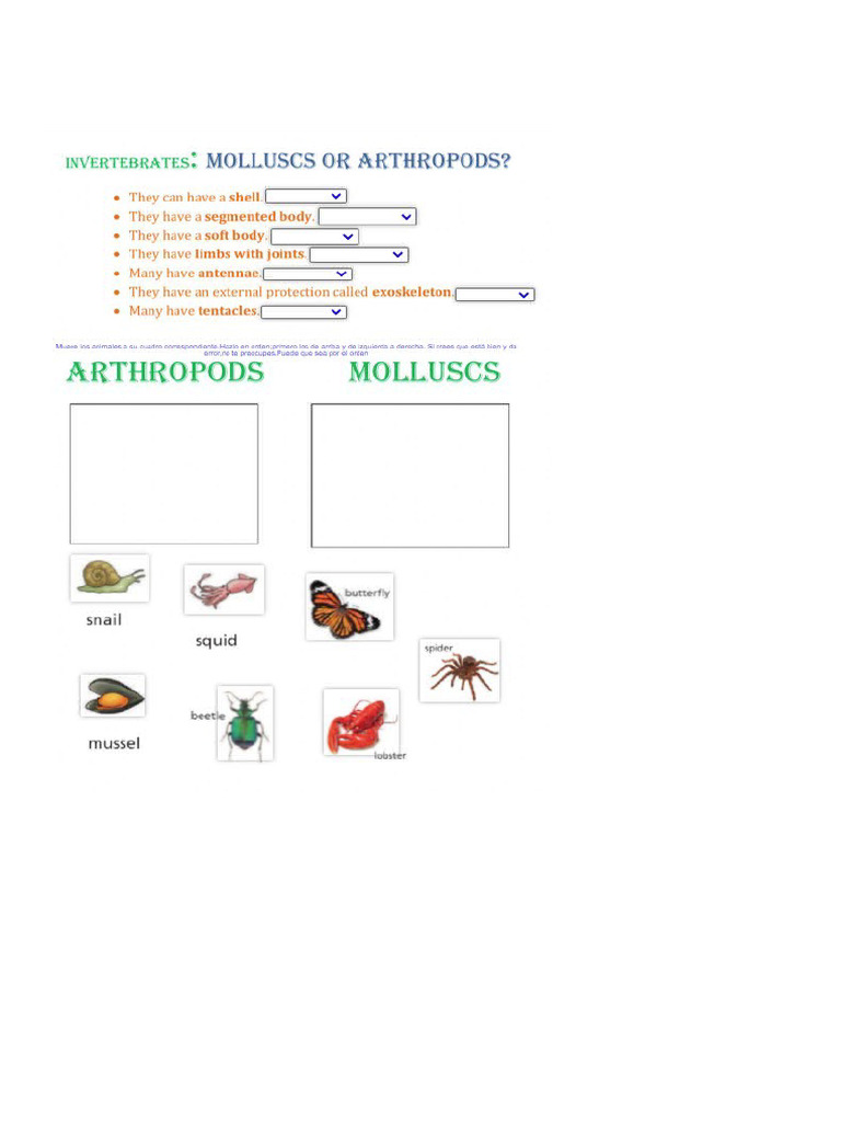 Science Invertebrates | PDF