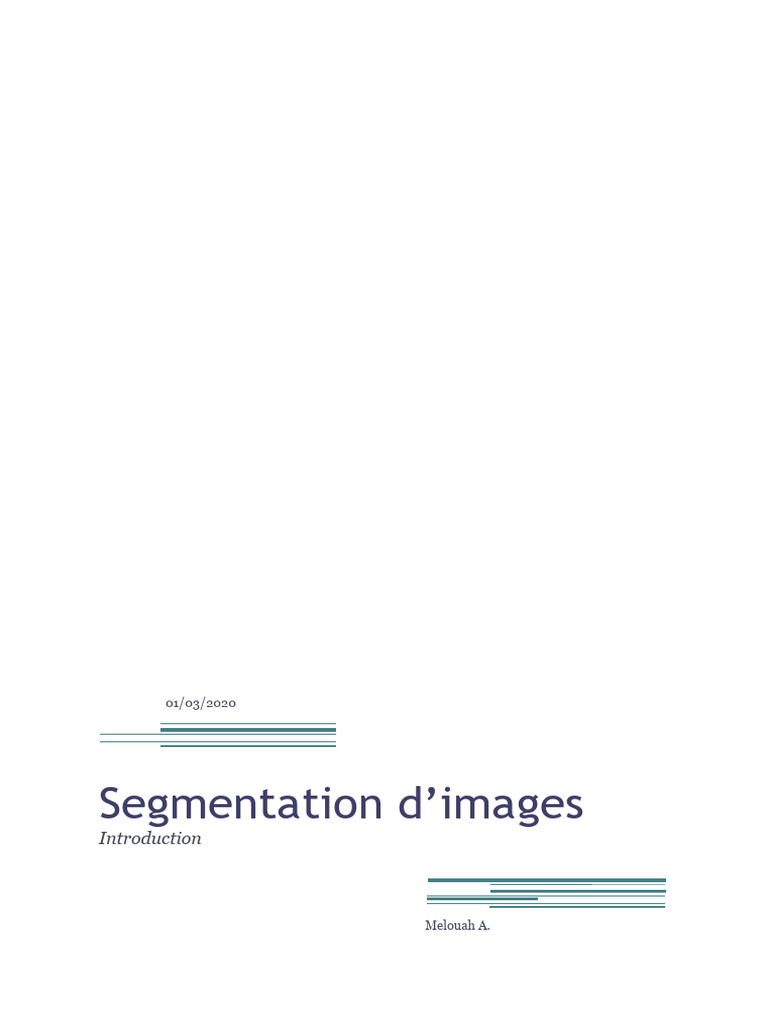 Segmentation Introduction | PDF