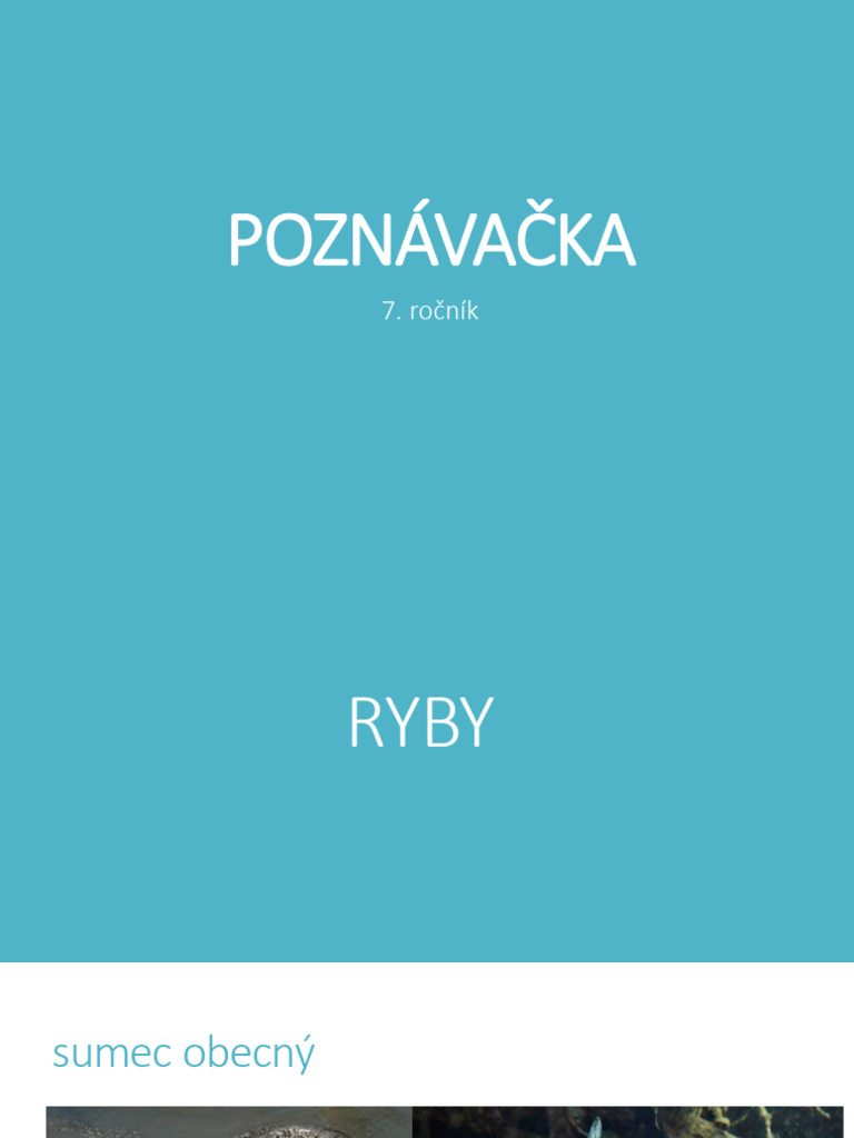 Poznávačka (7. R) - Ryby | PDF