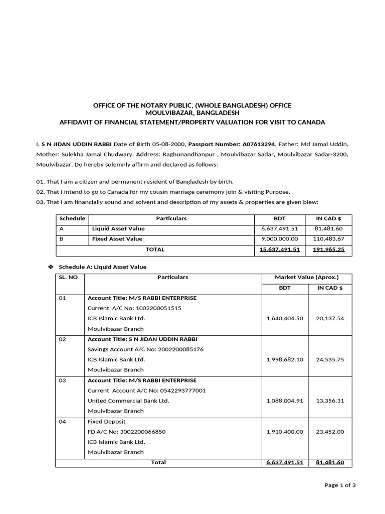 Jidan Asset Valuation | PDF