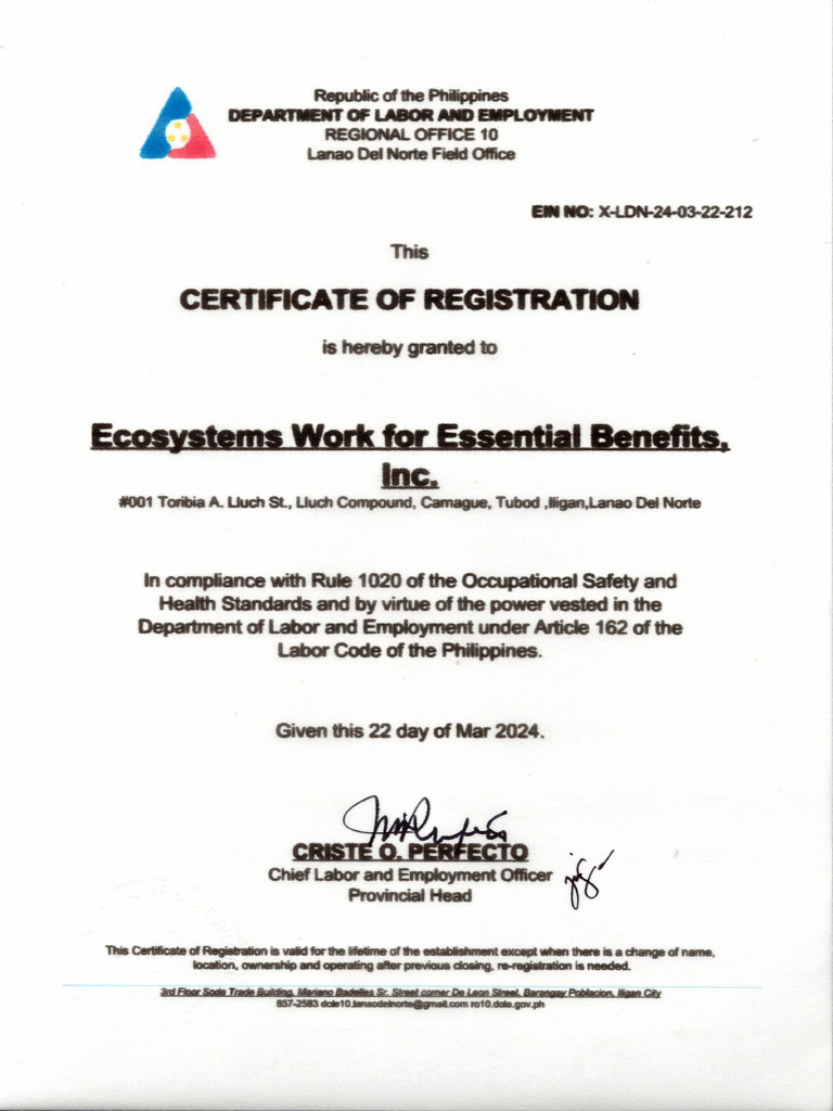 DOLE Certificate | PDF